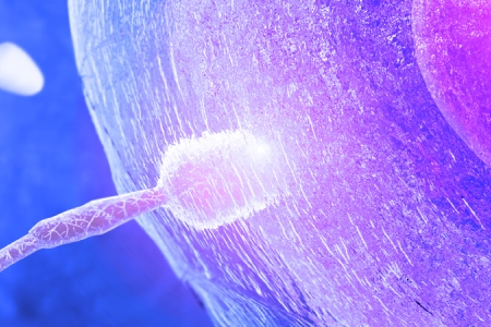 Andrology Tests SpermaScan® | Diagnostiki Athinon