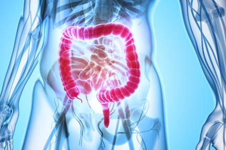 EnteroScan® - Έλεγχος Εντερικού Μικροβιώματος | Διαγνωστική Αθηνών