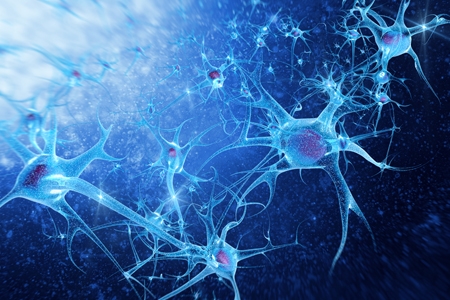 NeuroScan® - Έλεγχος Νευρικού Συστήματος | Διαγνωστική Αθηνών